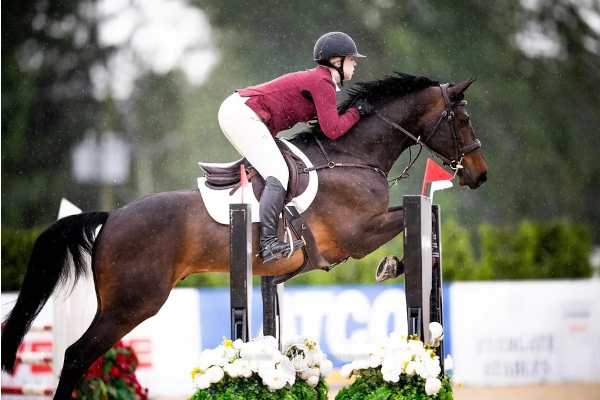 10 tips for owners during the horse shopping experience - Equivont