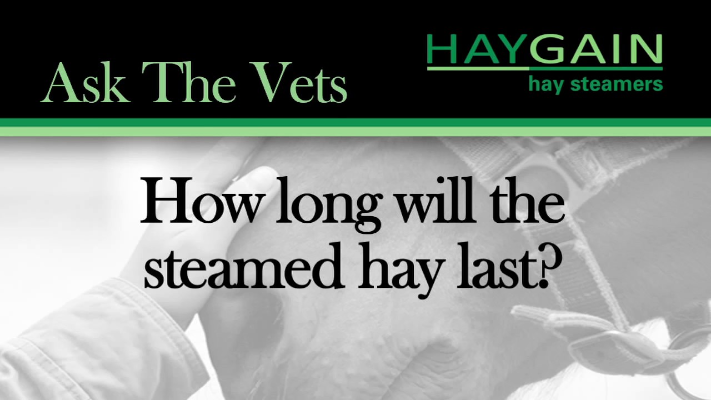 Steamed Hay: Benefits Beyond Easy Breathing - Equivont