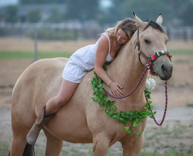 R+ Horse Training Certification