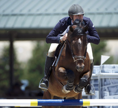 Brian Sean Wee: Financial Planning for Equestrians - Equivont