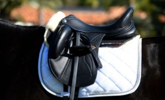 Saddle Flocking Appointment