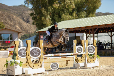 Full Training at Mischief Farm