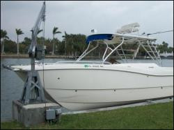Davit Master 6500lbs Electric Direct Drive Seawall