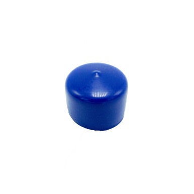 Blue Dock Cap #21