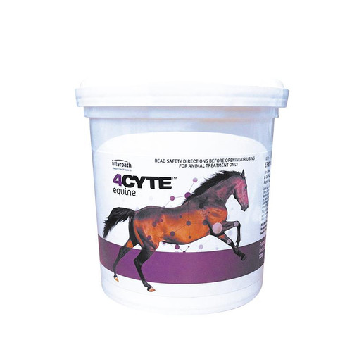 4CYTE Equine Joint Support