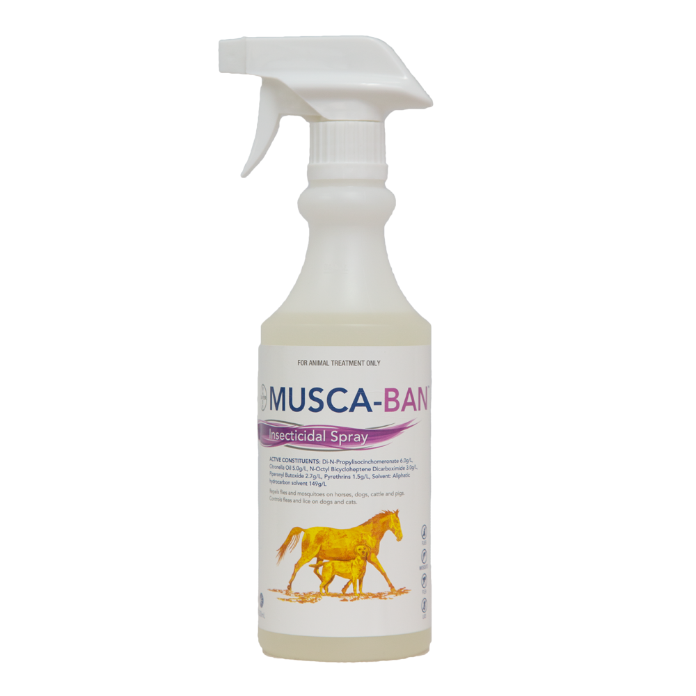 Musca-Ban Insecticidal and Fly Spray (500ml)