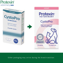 CystoPro Urinary Capsules For Dogs & Cats - New Packaging