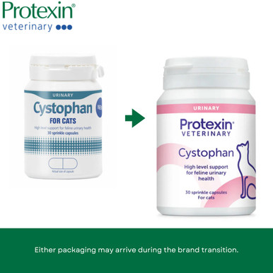 Cystophan Urinary Capsules For Cats (30 capsules)
