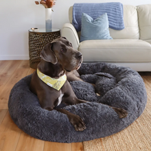 Sash Calming Dog Bed Dark Grey