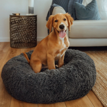 Sash Calming Dog Bed Dark Grey