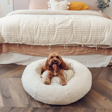 Sash Luxury Boucle Dog Bed Cream/Off White