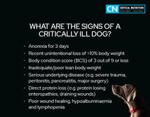 Pro Plan Veterinary Diets CN Critical Nutrition Wet Cat & Dog Food (24 ...