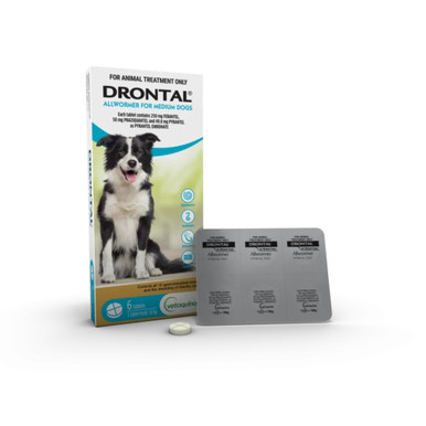 Drontal Allwormer Tablets For Medium Dogs 10kg (6 Tablets)