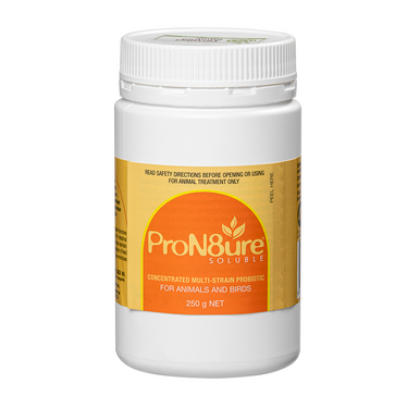 ProN8ure Probiotic Soluble Powder (Orange)