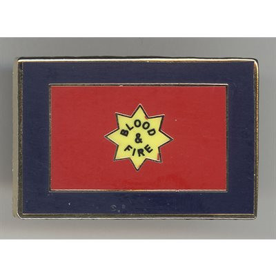 Pin TSA flag - The Salvation Army Trade Central