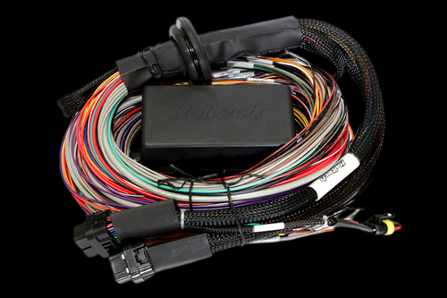 HT-141304 Haltech Elite 2500 Wire Harness 2.5m 8ft