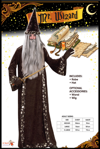 Wizard Tunic with attatched robe and belt mens costume