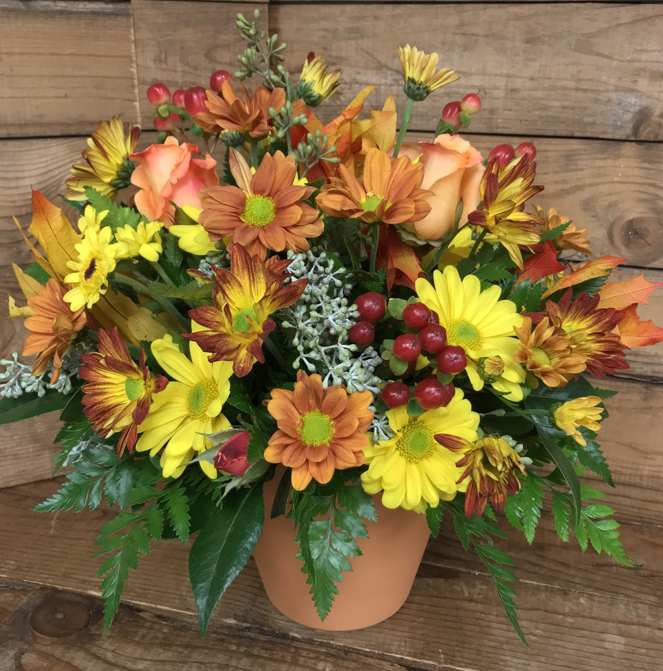 Shop by Occasion - Best Sellers - Page 1 - Centerville Florists