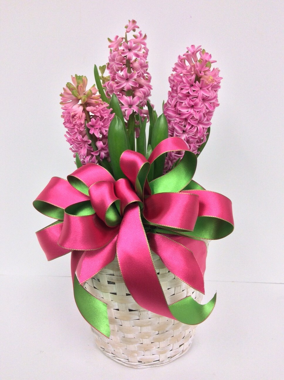 Shop by Occasion - Page 1 - Centerville Florists