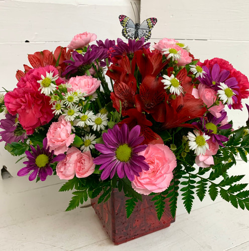 Charming Butterfly Cube - Red Cube - Centerville Florists