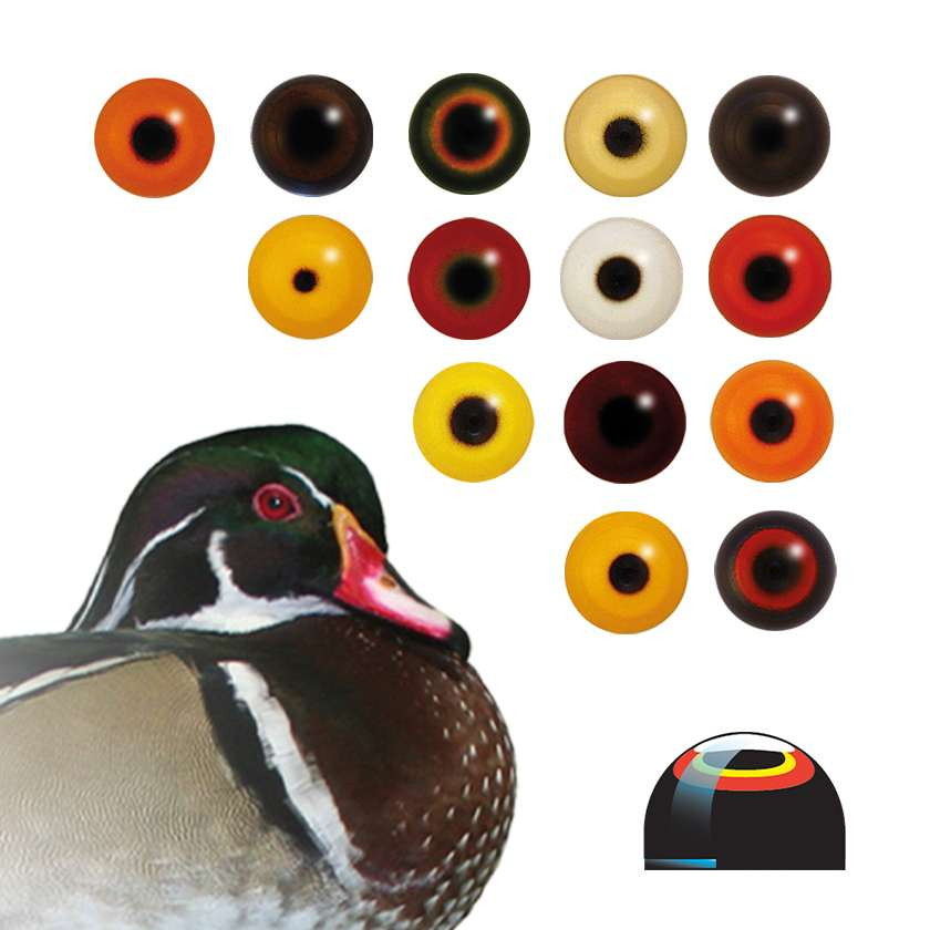 Bird Eyes (Europe) - Matuska Taxidermy Supply Company
