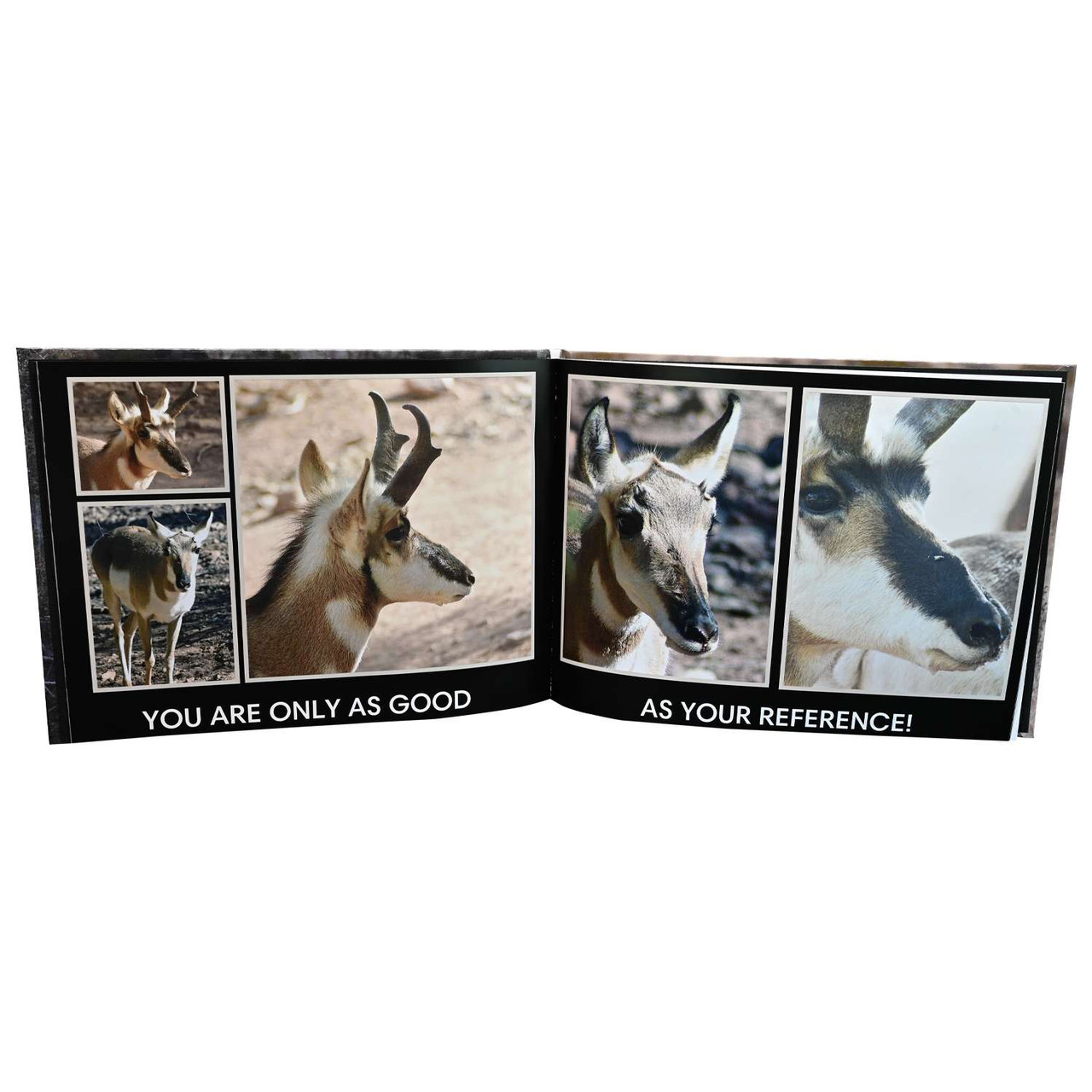Antelope Reference Book by Phil Wilson - Matuska Taxidermy Supply Company