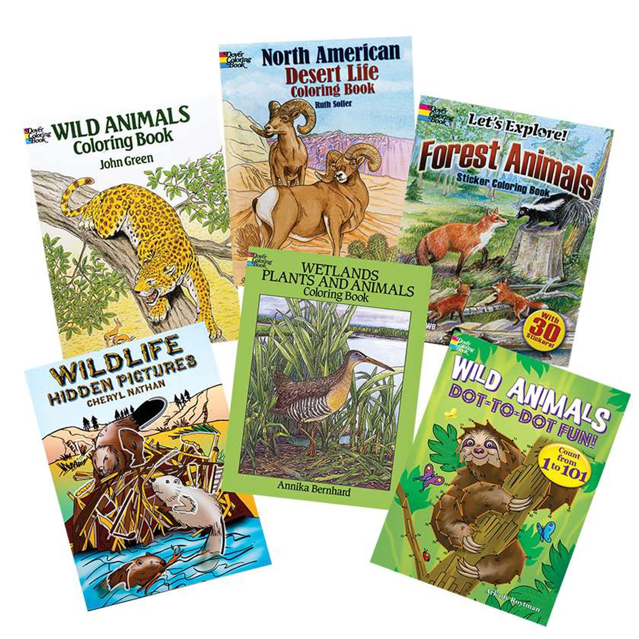 north american wildlife coloring book
