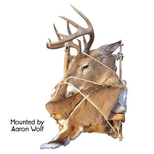 Pack Mounts *new additions - Matuska Taxidermy Supply Company