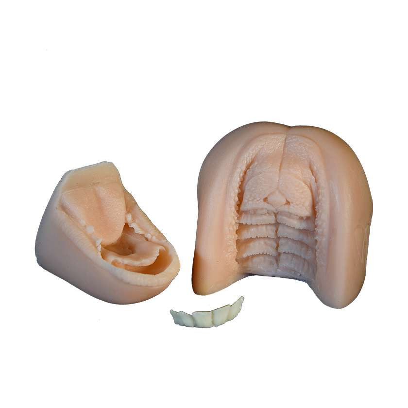 Replacement Mouthpiece - Split Lip by Champions Choice - Matuska ...