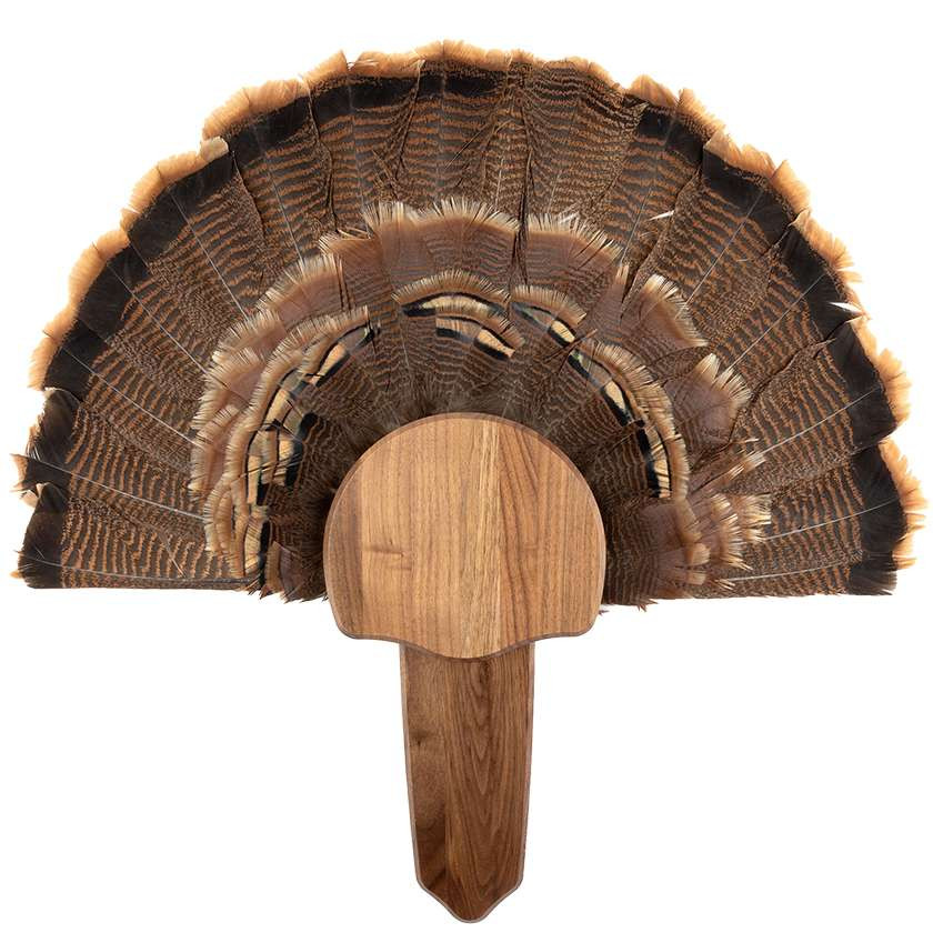 Turkey Mounting Kits