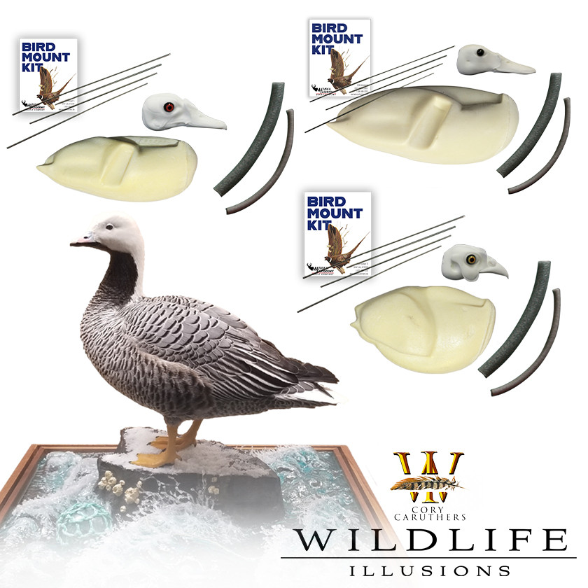 Bird Mounting Kits