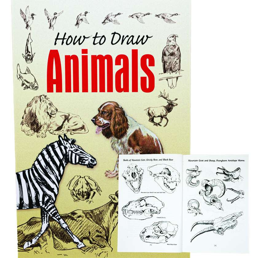Book | Drawing Animals - Advanced