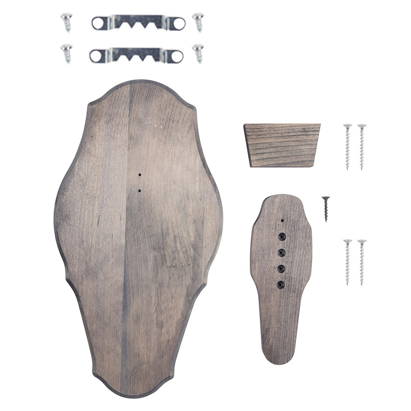 European Skull Display Kit