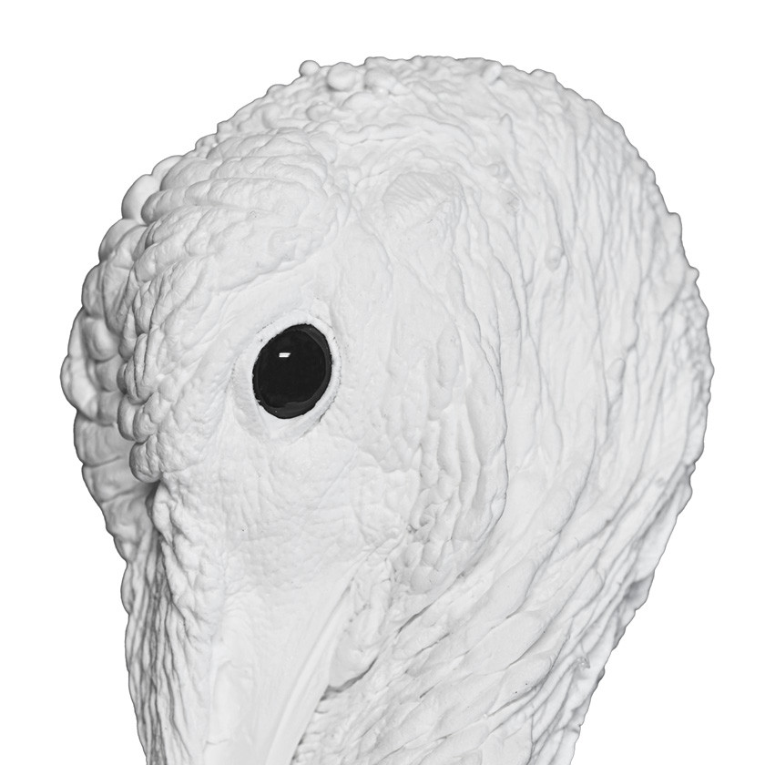 Turkey Head | by Blake Reiminger