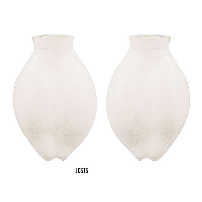 Sheep Testicles - Matuska Taxidermy Supply Company