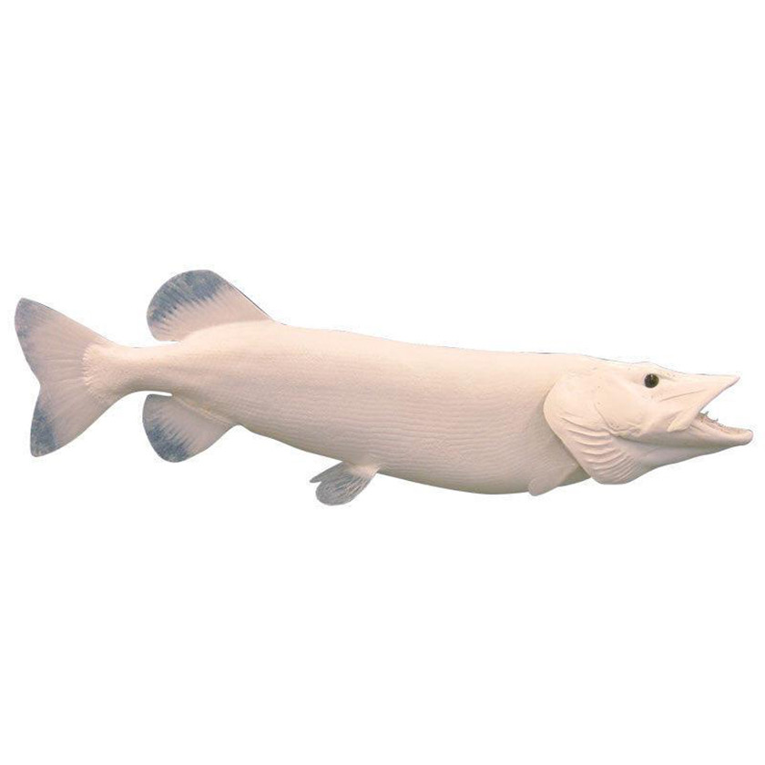 Northern Pike Fish Reproduction (S-Curve) - Matuska Taxidermy Supply ...