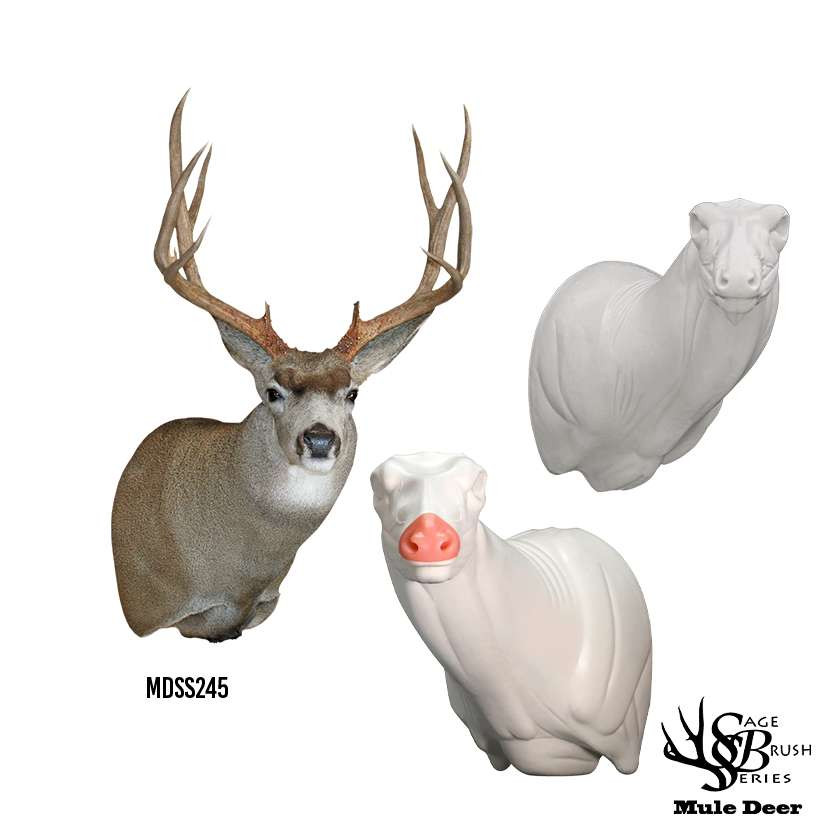 Semi-Sneak - Mule Deer Matuska Taxidermy