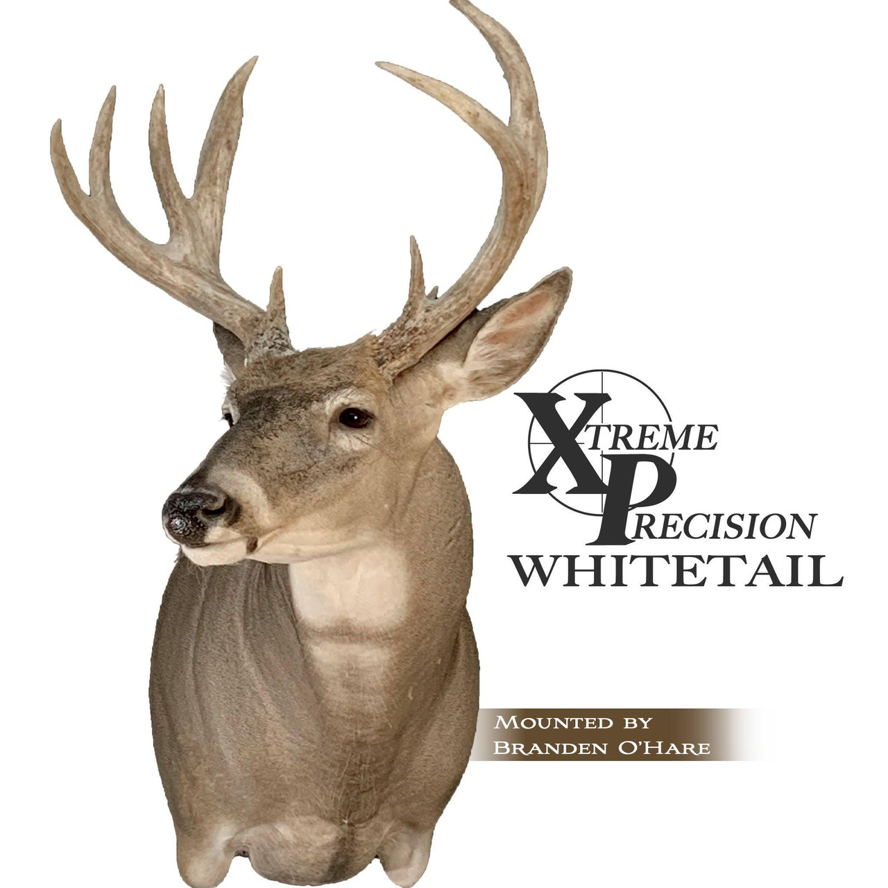 Deer mount semi sneak store
