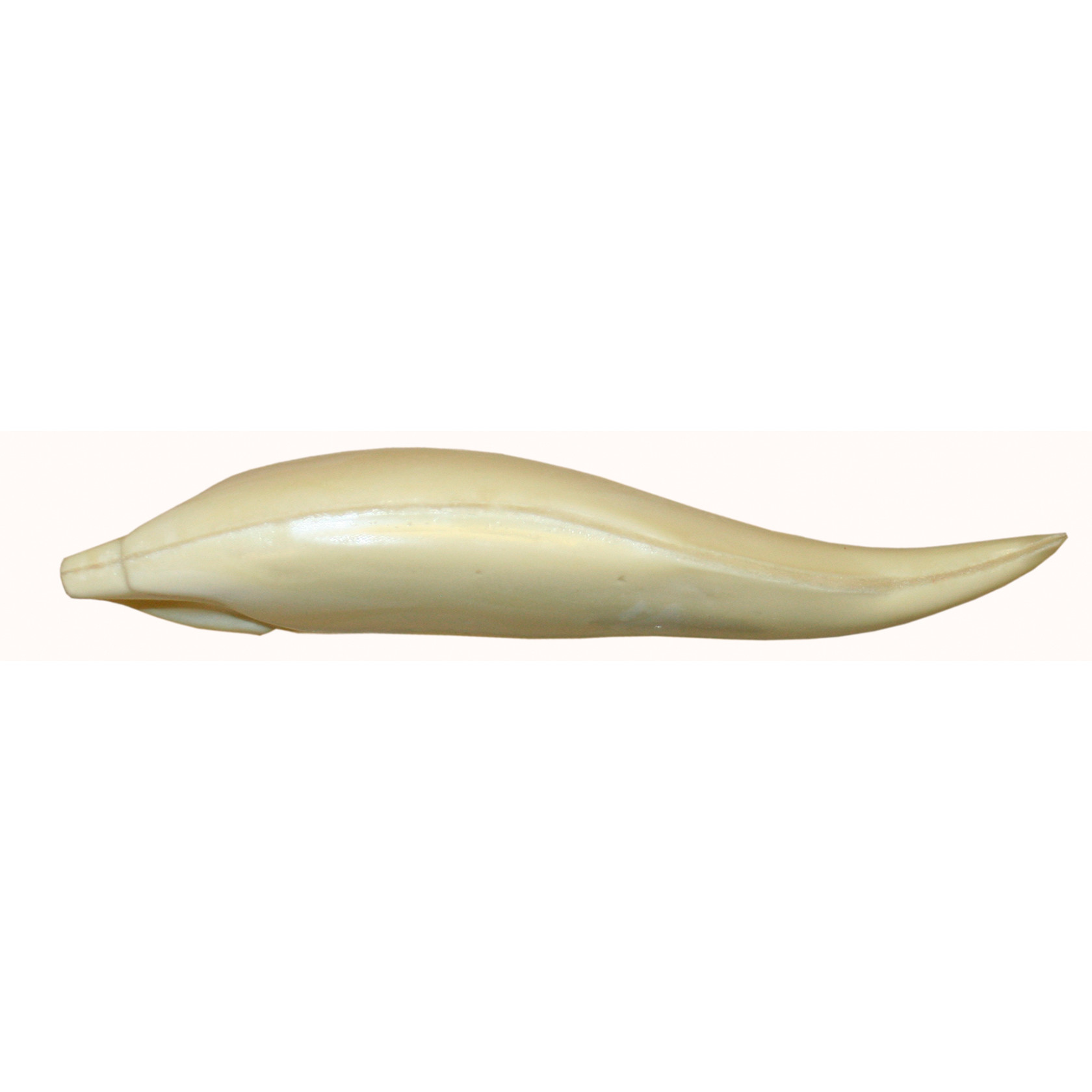 Fish Products - Fish Forms - Matuska Taxidermy Supply Company