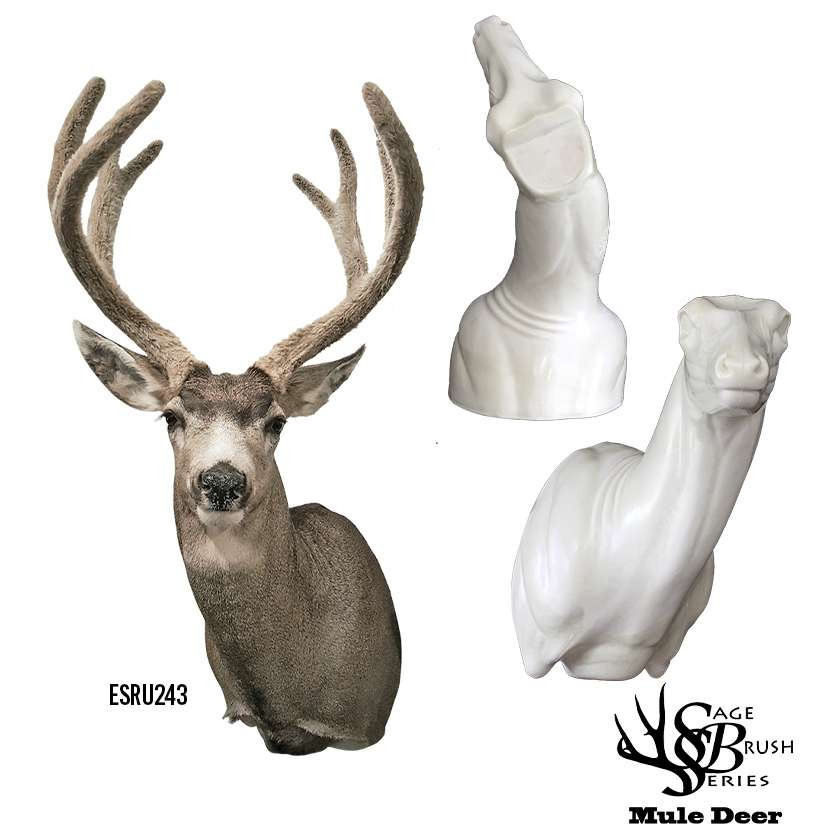 Mule Deer Shoulder Mounts - Matuska Taxidermy Supply Company