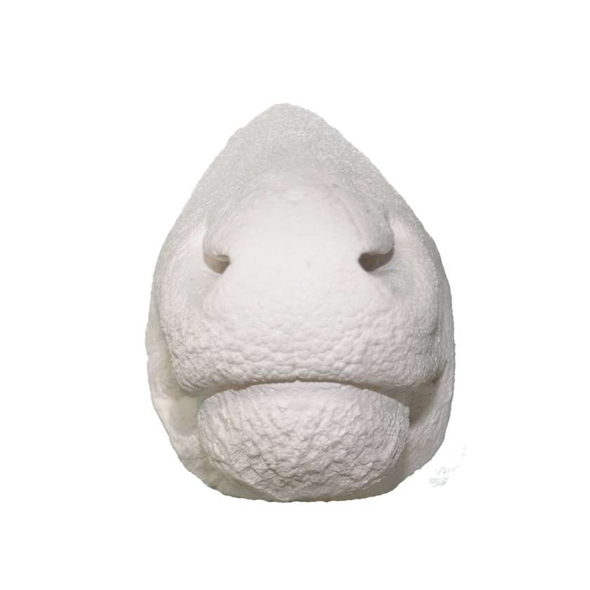 Nose Reference Casts - Matuska Taxidermy Supply Company