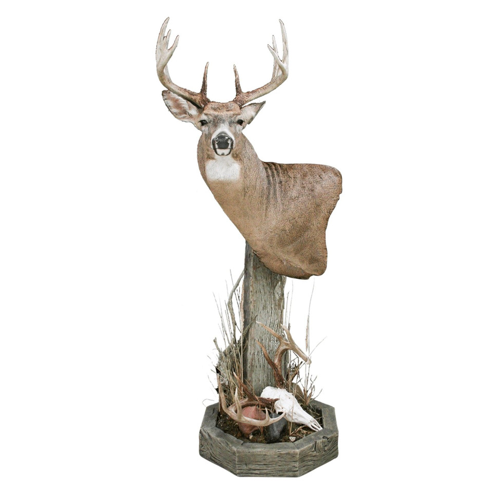 Bridge Timber Base - Octagon - Matuska Taxidermy Supply Company