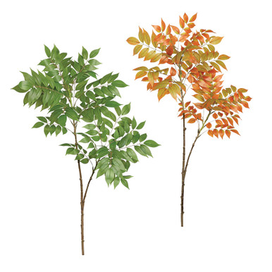 Habitat-Leaf Branch