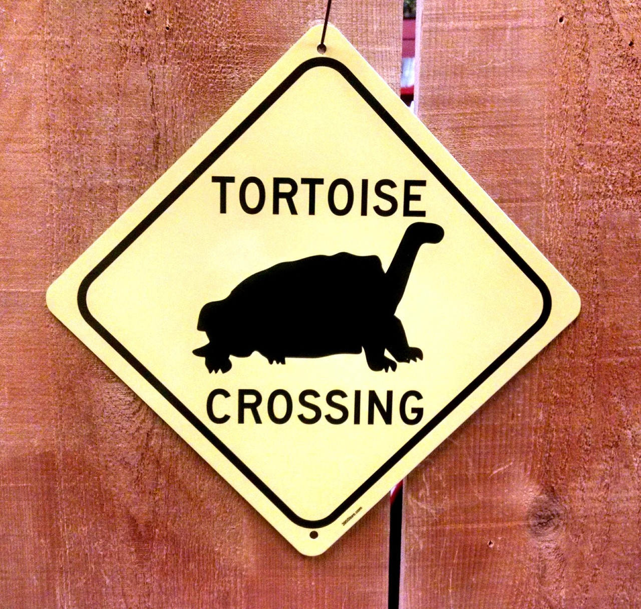 Desert Tortoise Crossing Sign - 395 Store