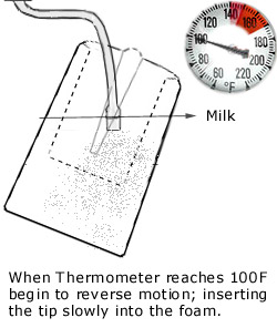 Frothing guide - Great Infusions Co.