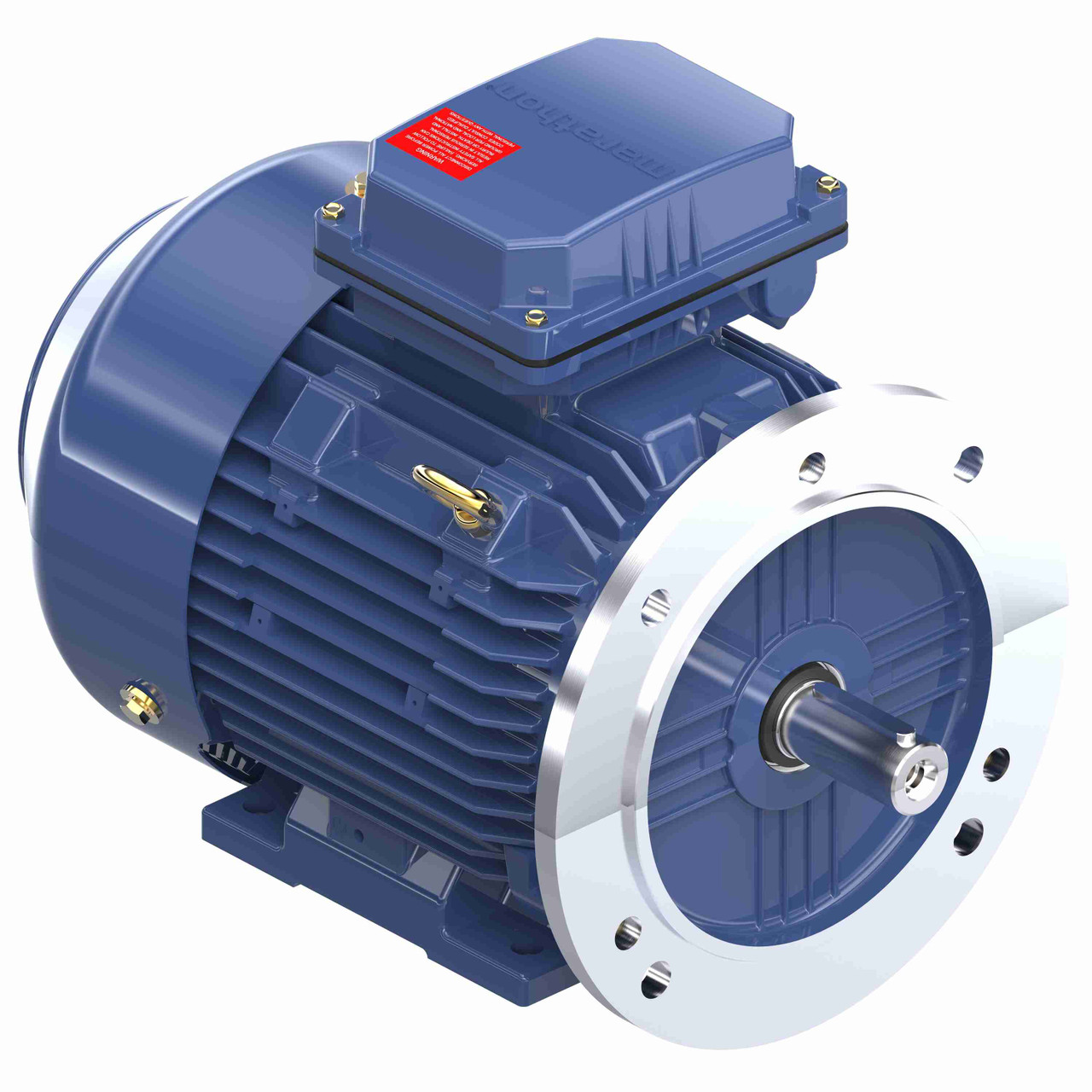 R822, 3 Hp- 2.2 Kw, 1800 Rpm, DF100LD FR, TEFC, 230/460 Vac, 3 PH ...