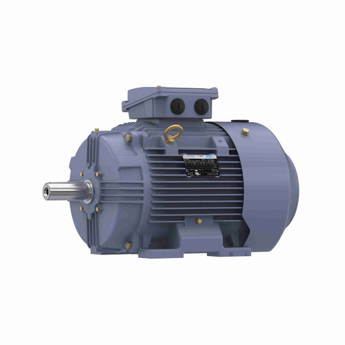 R438, 25 Hp, 3600 Rpm, 160L FR, 575 Vac, 3 PH, TEFC, Rigid Base ...