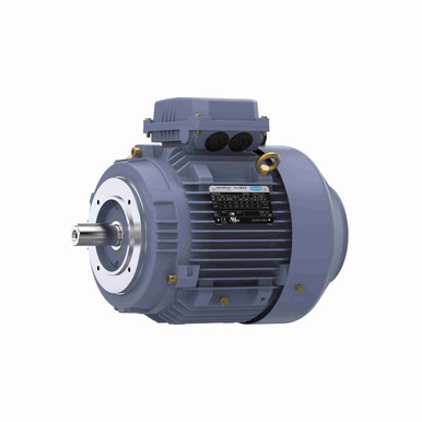 R625, 5 1/2 Hp, 1800 Rpm, 112M FR, 230/460 Vac, 3 PH, TEFC, Rigid Base ...
