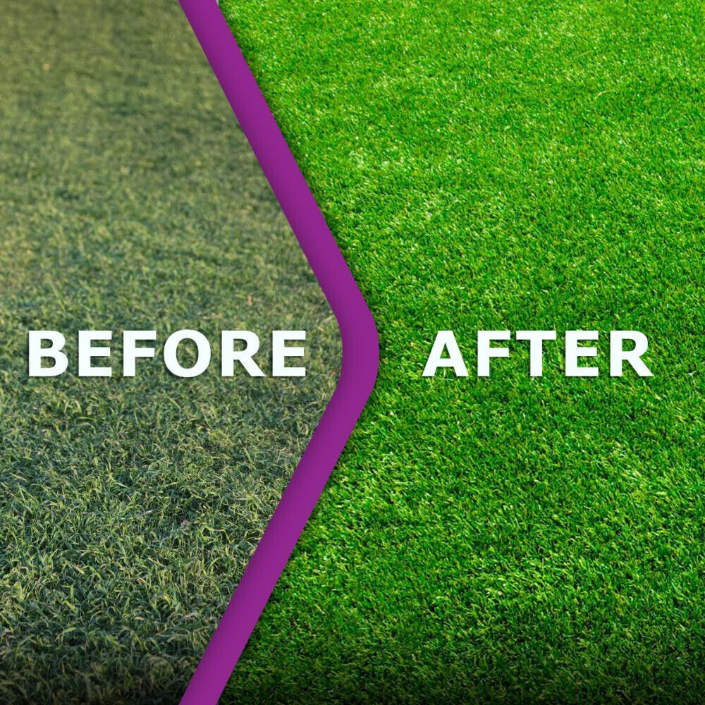 Zero Lawn Feed - Lawn Fertiliser | 100% Guaranteed to Work