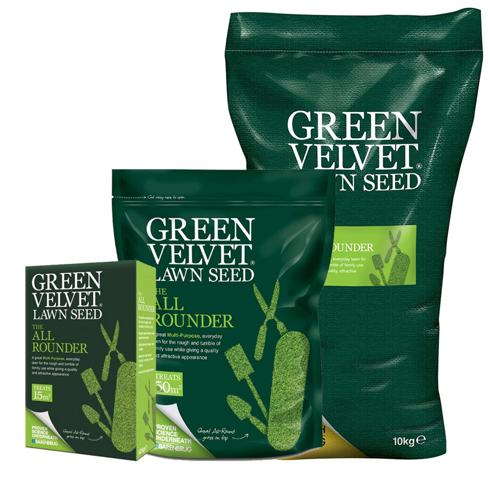 Green Velvet Dwarf Lawn Seed for sale | Horkans Garden Centre